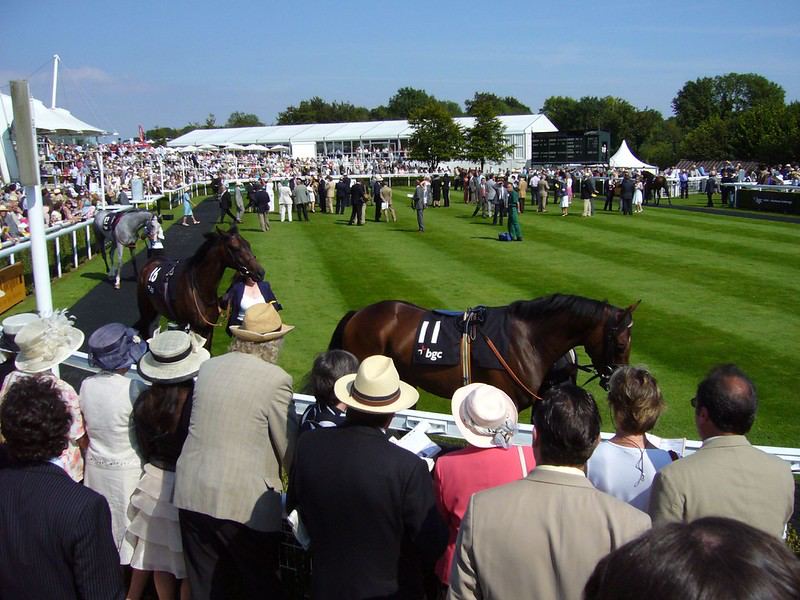 A real ‘Rascal’ worth supporting! | Western Morning News