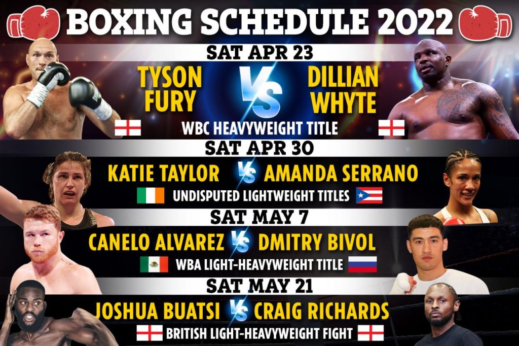 Boxing schedule 2022: Upcoming fights, fixture schedule including Fury ...