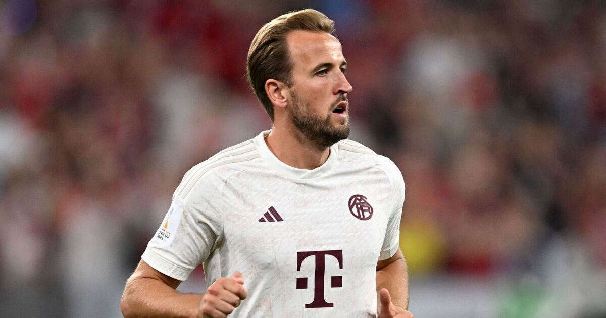 Hero nanny of Harry Kane’s children praised for ‘averting disaster ...