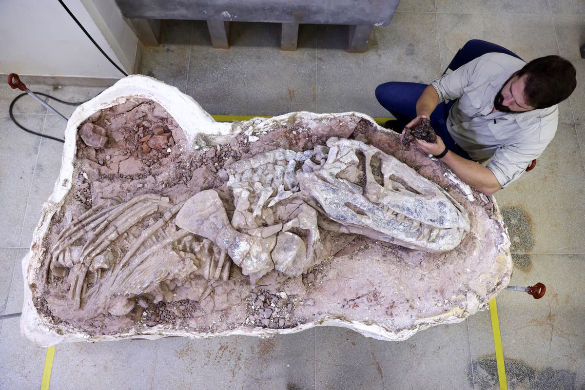 Discovery of one of the oldest-ever reptile fossils sheds new light on ...