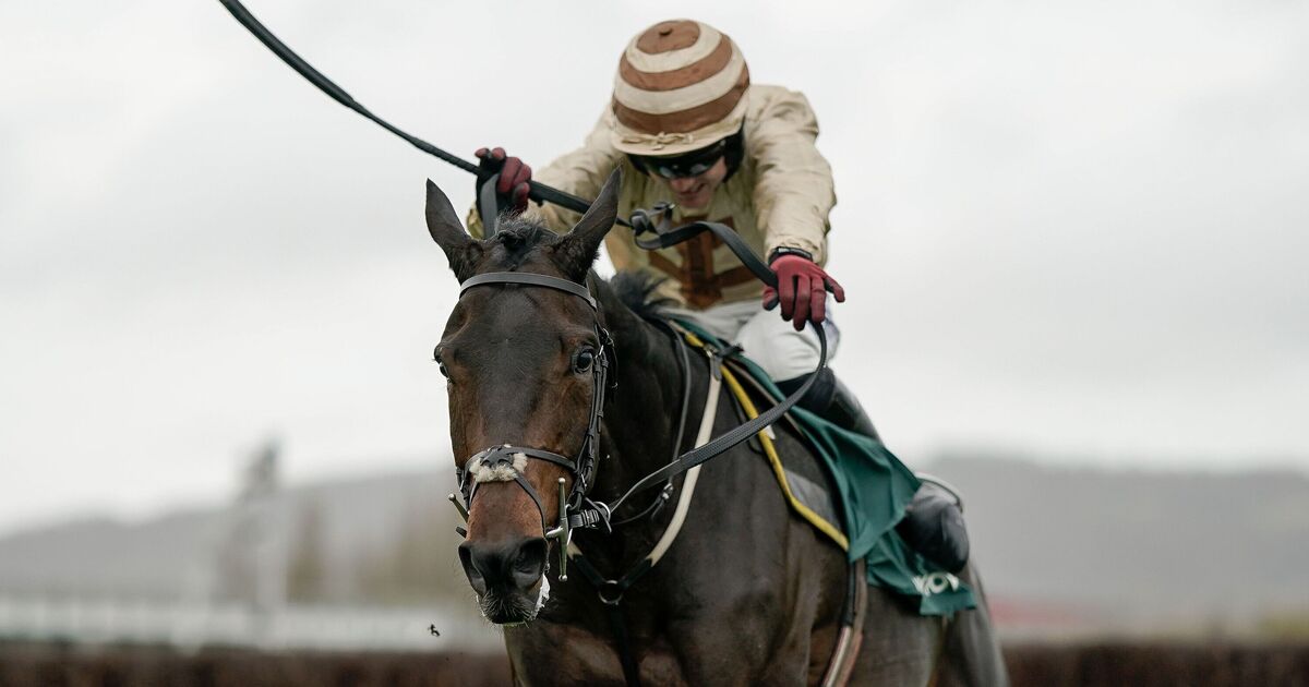 Broadway Boy jockey injuries confirmed after being rushed to hospital ...