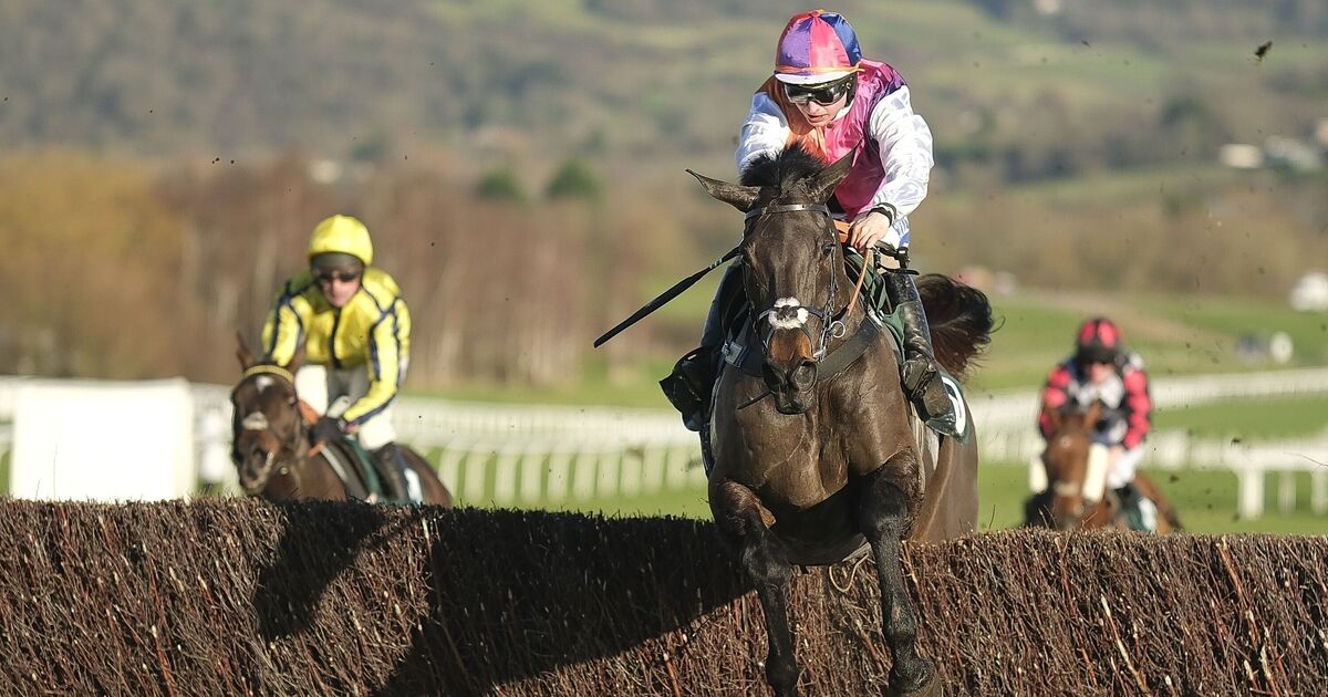 Irish Grand National LIVE – Updates and tips as 18/1 backed to win at ...