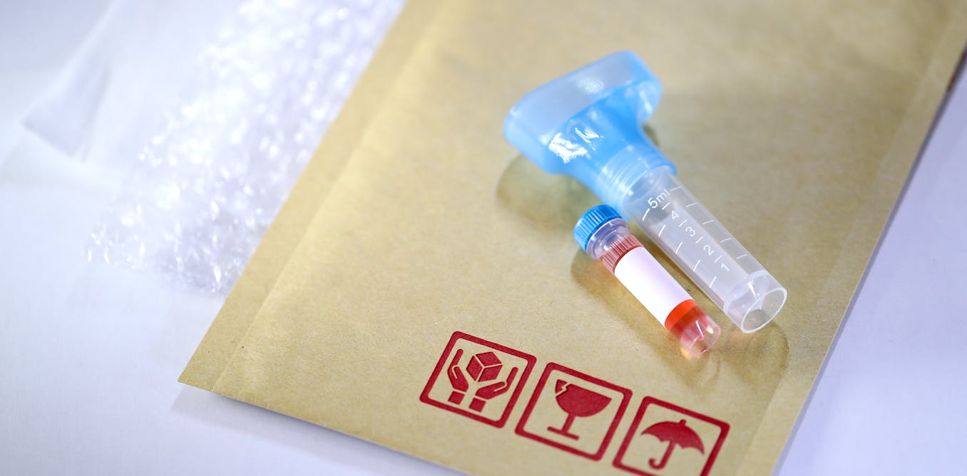 Spit science: why saliva is a great way to detect disease | Western ...