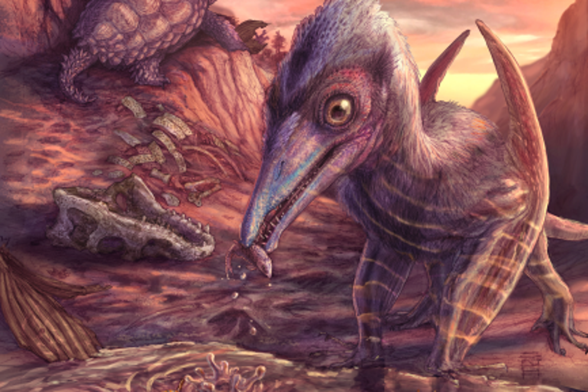 New species of flying reptile that lived among dinosaurs 200 million ...