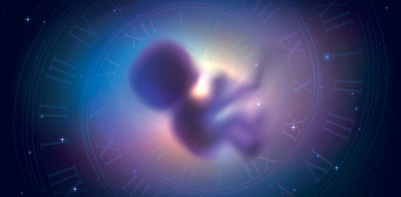Floating babies, cosmic radiation and zero-gravity birth: what space ...