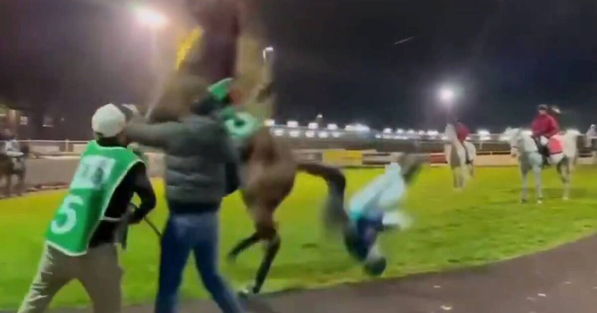 Jockey headbutted by horse in terrifying incident as health update ...