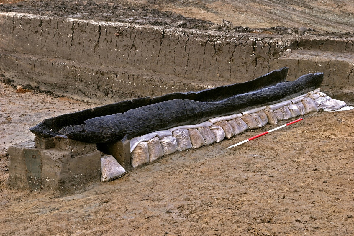 Bronze Age secrets revealed as log boats emerge after 3,000 years to go ...