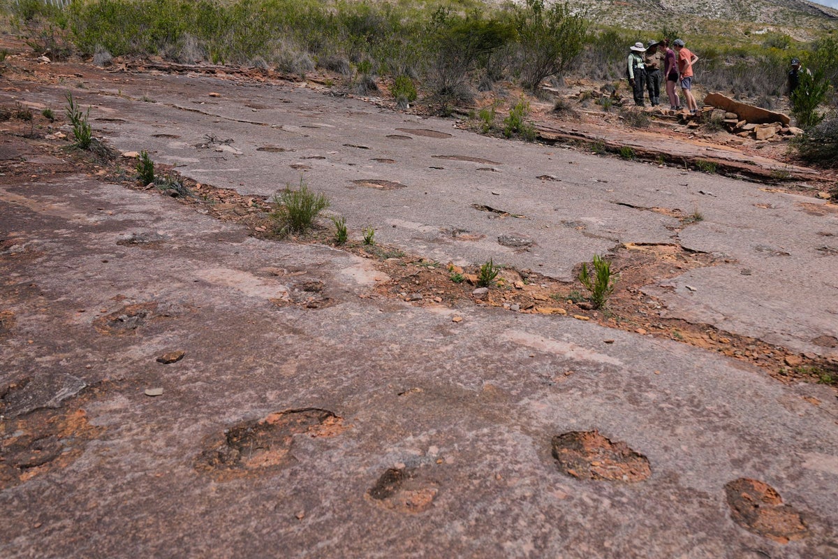 Discovery of record dinosaur footprints to reveal secrets of two-legged ...