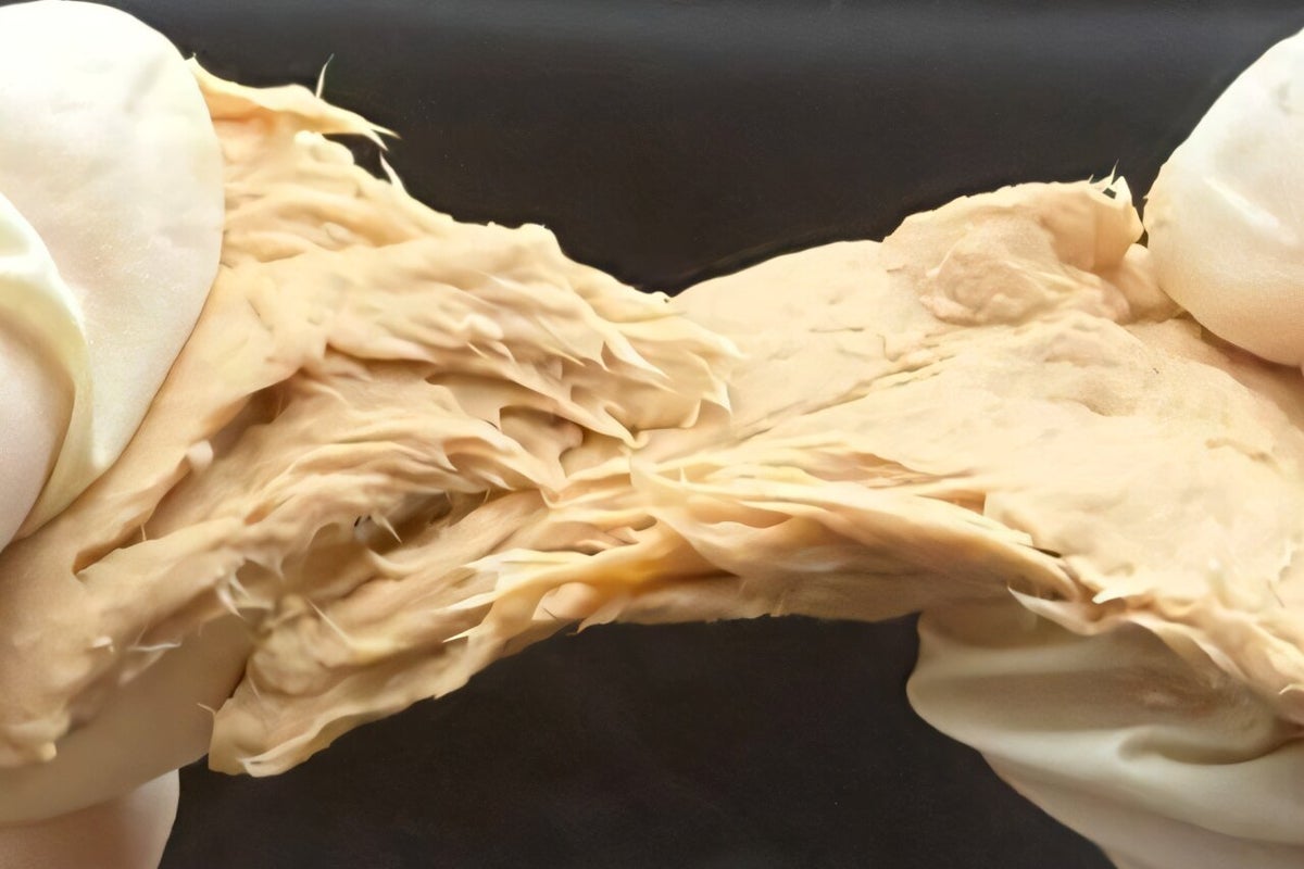 Lab-grown fungus ‘meat’ could be cheaper chicken substitute, scientists ...