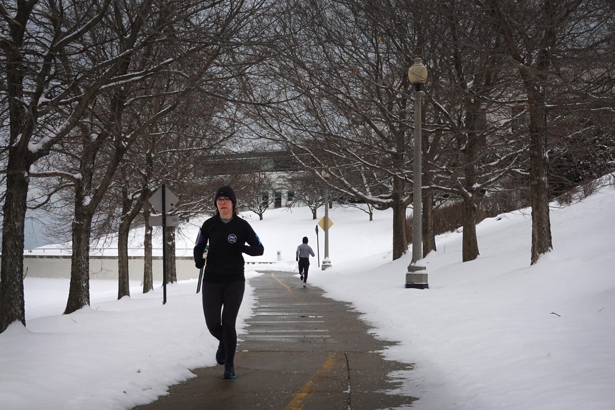 Do trees actually explode when it gets cold? | Western Morning News