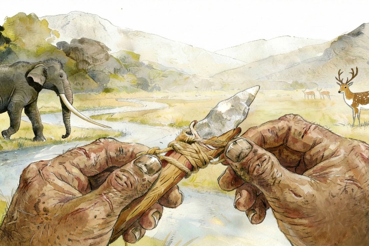 Discovery of complex pre-historic tools in China suggests our ancestors ...