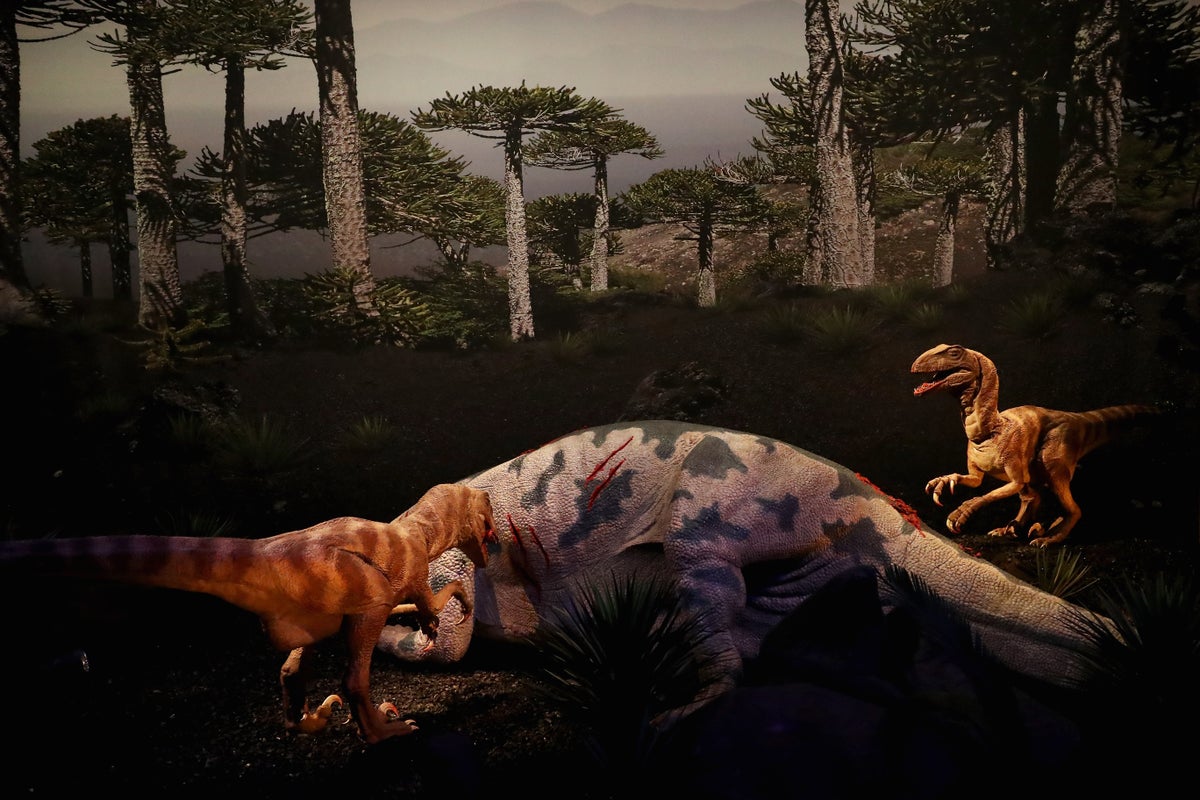 Study suggests dinosaurs may have fed their young ones a special diet ...