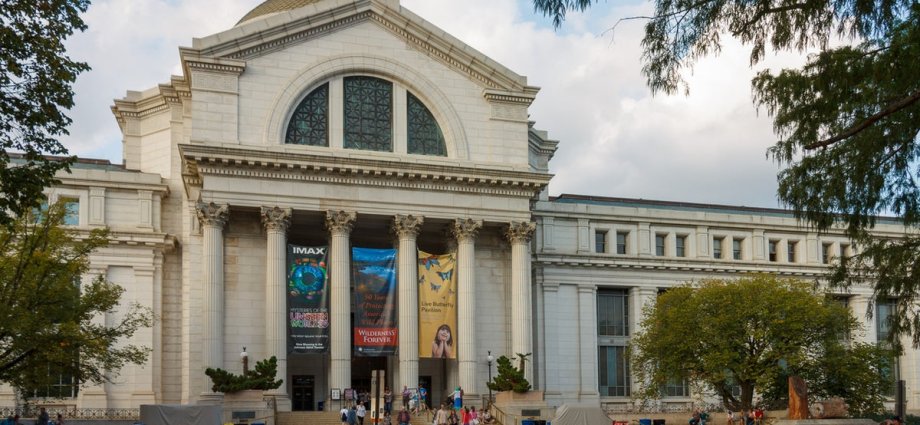 500-million-year-old fossil helps fill a strange gap in our record of ...